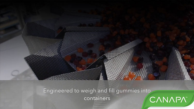 Canapa Solutions - Cannabis weigh filling machine